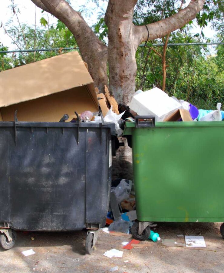 EMS Environmentalism Services